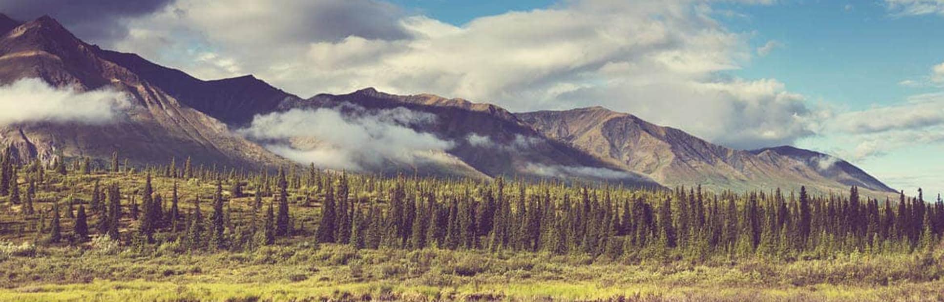 Alaska State and Local Taxes (SALT) | James Moore & Co.