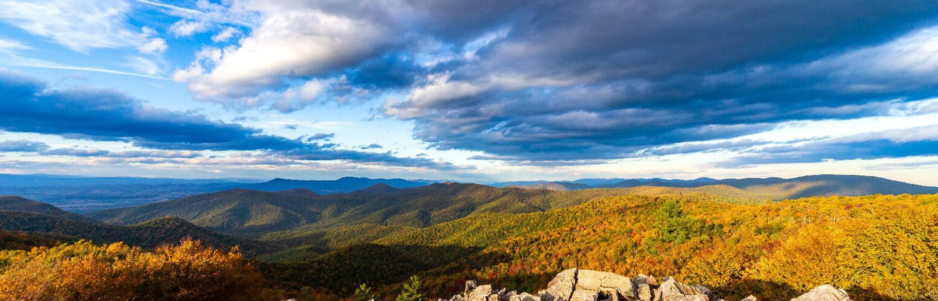 Virginia State and Local Taxes (SALT) | James Moore & Co.